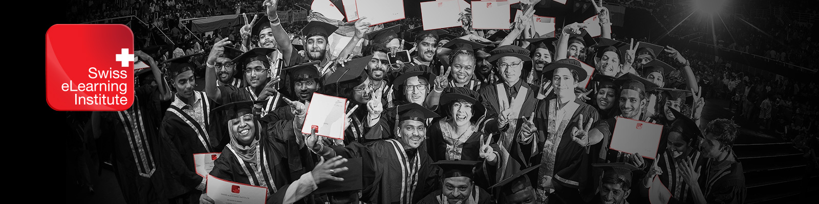 Swiss eLearning Institute